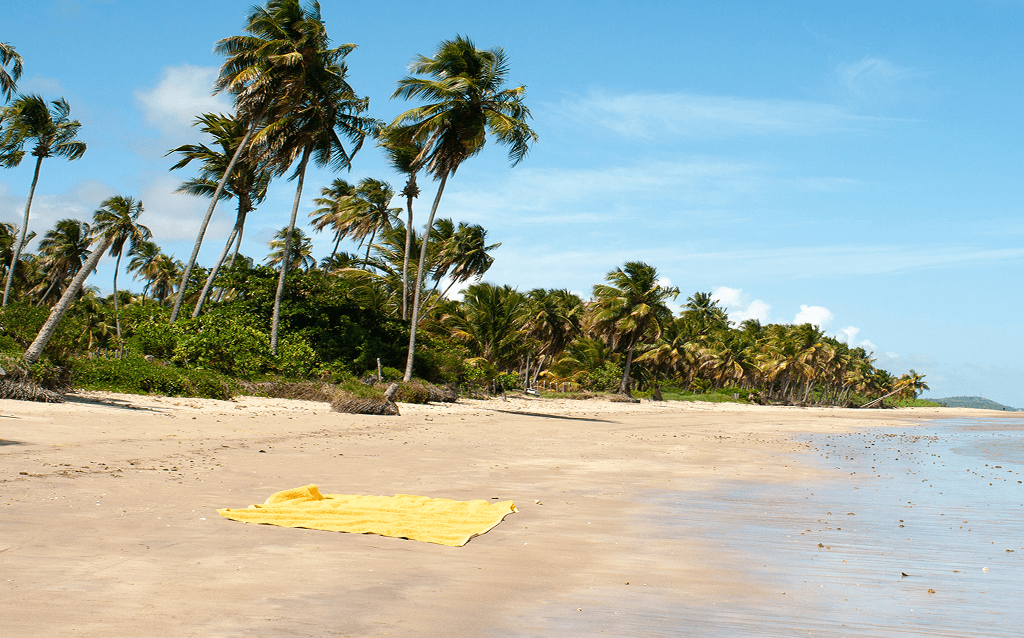 Férias na Praia: Guia Completo com Dicas, Destinos e Economia | Blog C6 ...